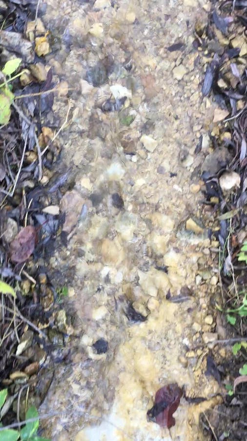 Small Brook Splashing Over Rocks Stock Video - Video of nsmall, bubble ...