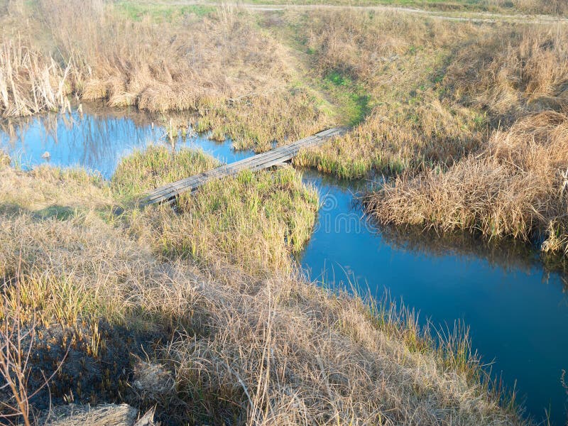 A small brook stock photo. Image of crossing, outdoors - 176116910