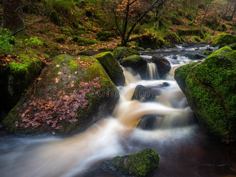 Waterfalls on a Small Brook Stock Photo - Image of nature, motion ...