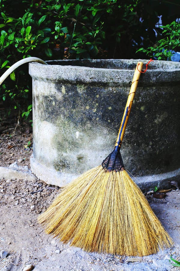 222 Broom Fish Photos - Free & Royalty-Free Stock Photos from Dreamstime