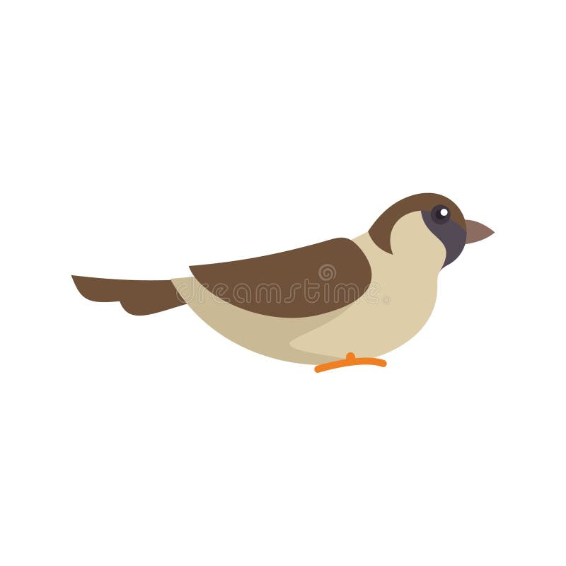 Small Brown and Beige Bird Standing on Branch Stock Illustration ...