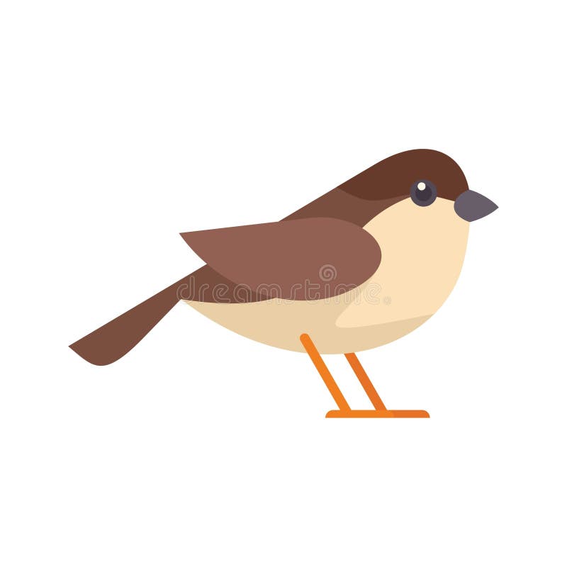 Small Brown and Beige Bird Standing Side View Stock Illustration ...