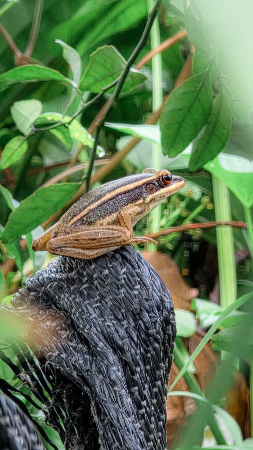 7,845 Grow Bag Lanscape Stock Photos - Free & Royalty-Free Stock Photos ...