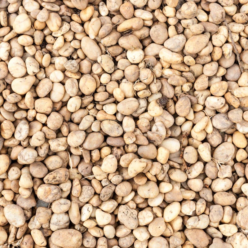 Small Brown Naturally Rock Pebbles Textured Stock Image - Image of ...