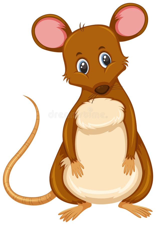 Small Brown Rat White Background Stock Vector - Illustration of wild ...