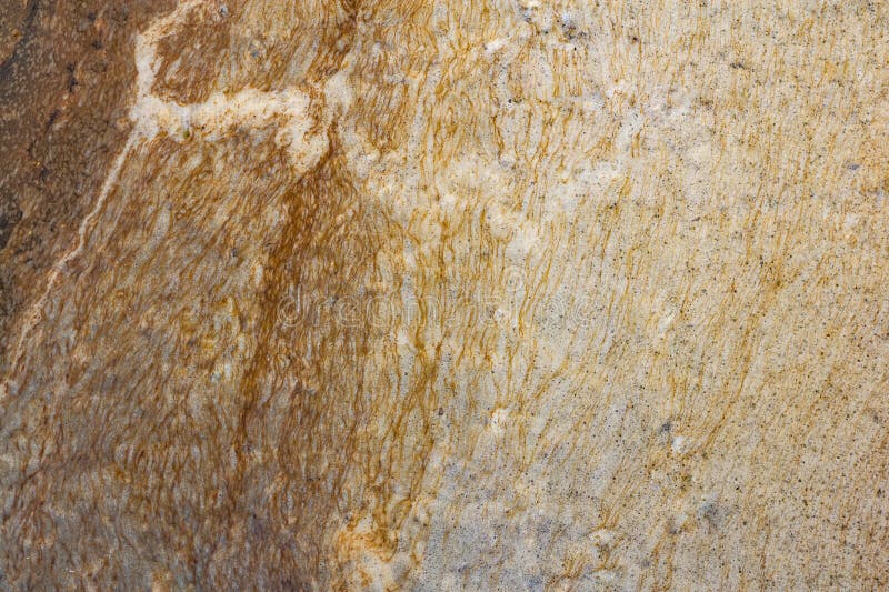 Small Bubbles on the Surface Stock Image - Image of design, oxygen ...