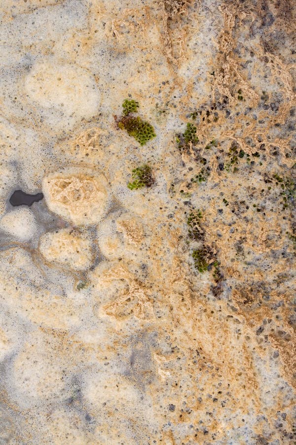 Small Bubbles on the Surface Stock Photo - Image of aqua, beautiful: 390316234