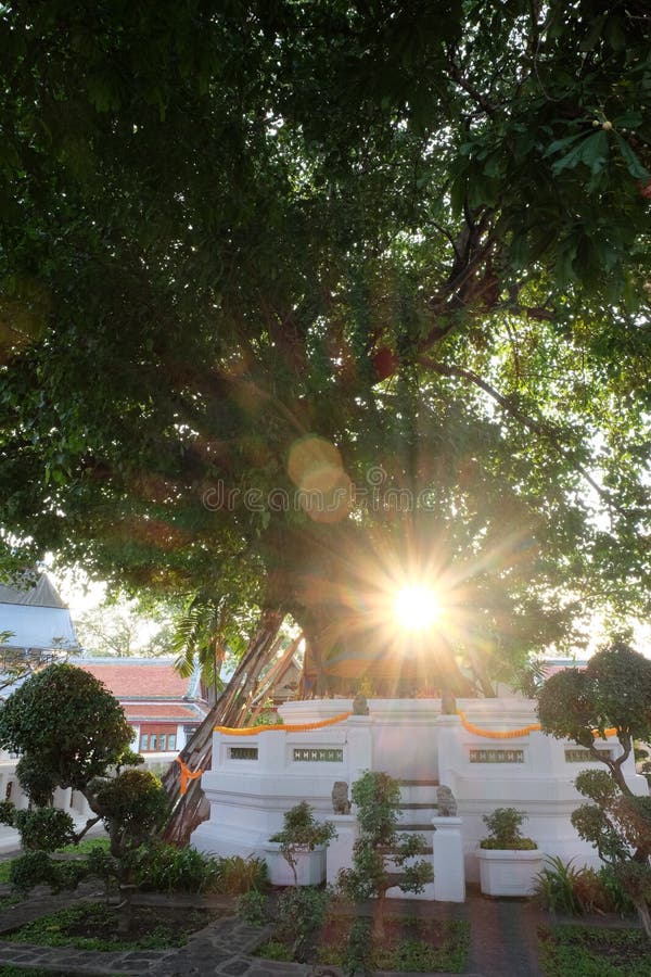 A Small Buddhist Altar by a Tree. the Rays of the Sun Shine through the ...