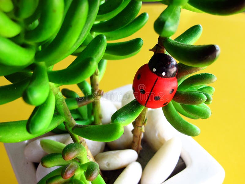 Small bug on green tree stock image. Image of animal - 25394513