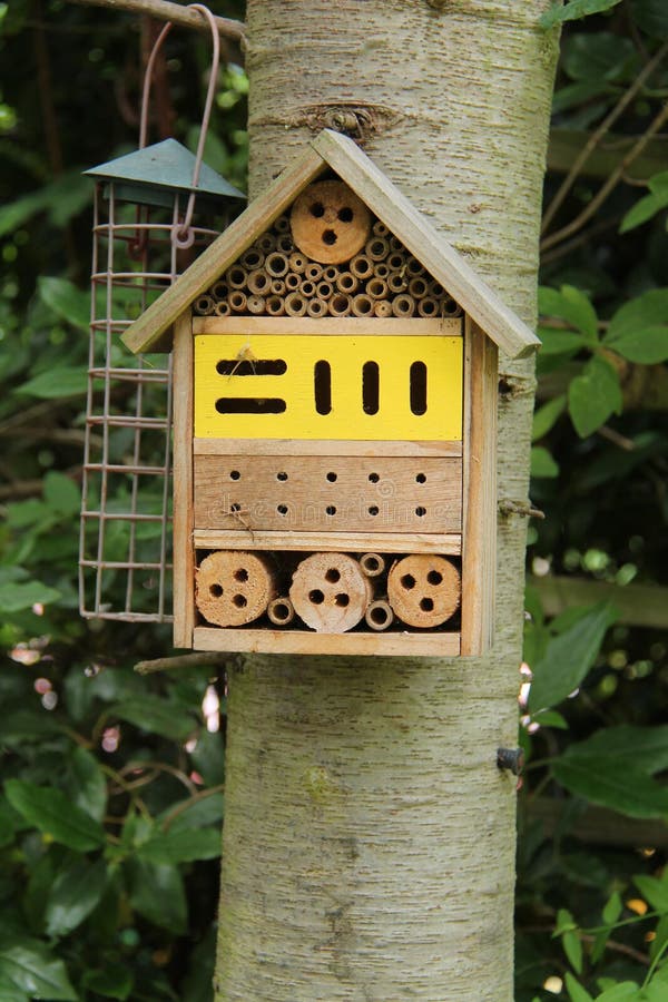 Small Bug House stock image. Image of rural, house, wood - 164554731