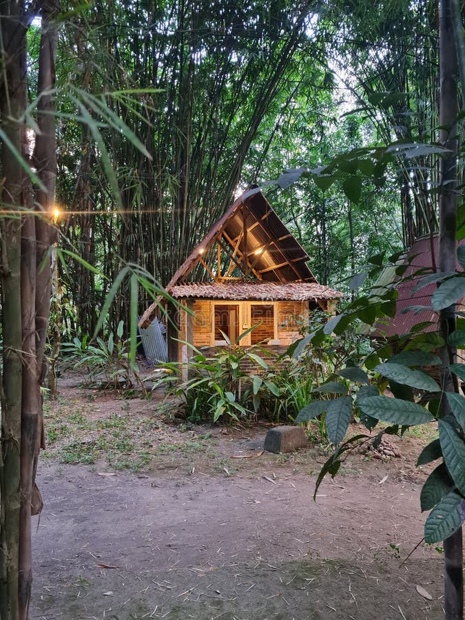 Small Building, Serves As a Toilet in a Bamboo Plantation Stock Photo - Image of building ...