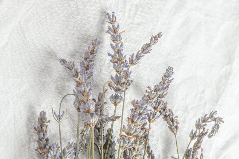 Small Bunch of Beautiful Fresh Lavender Flowers. Top View Stock Photo ...