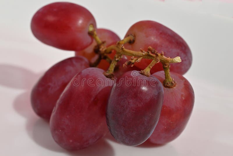 Small bunch of grapes stock image. Image of food, fruit - 310636949