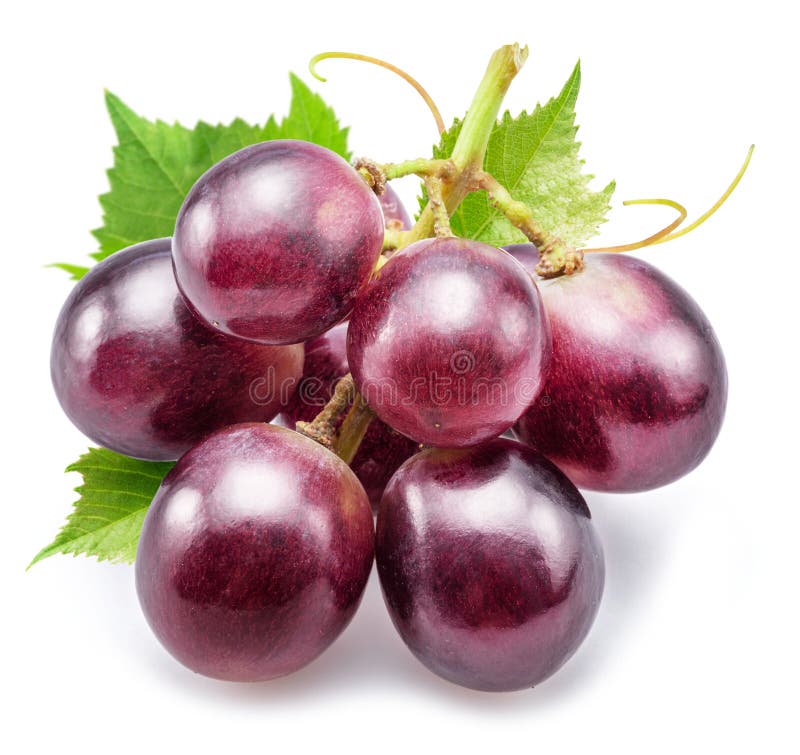 Small Bunch of Red Table Grape with Grape Leaves Isolated on White ...