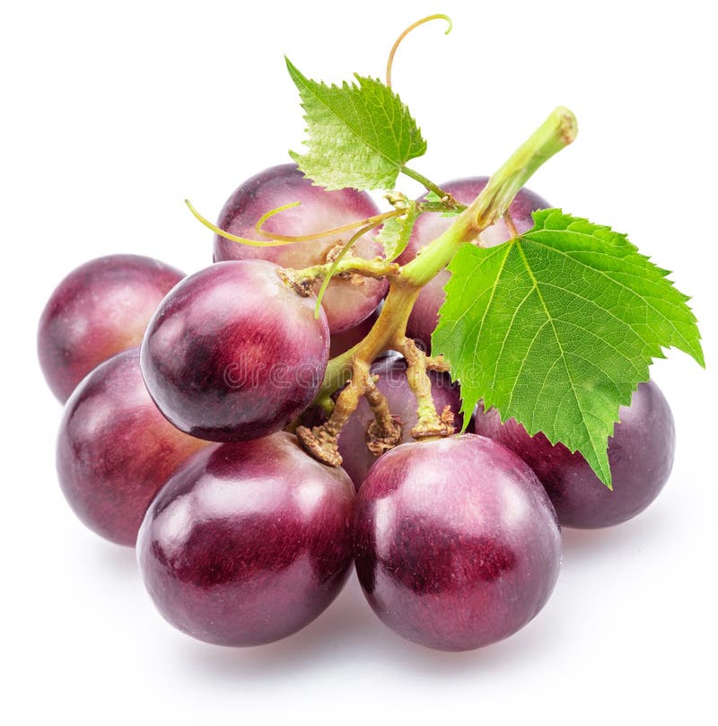 Small Bunch of Red Table Grape with Grape Leaves Isolated on White ...