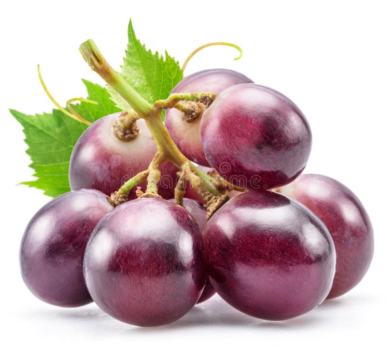 Small Bunch of Red Table Grape with Grape Leaves Isolated on White ...