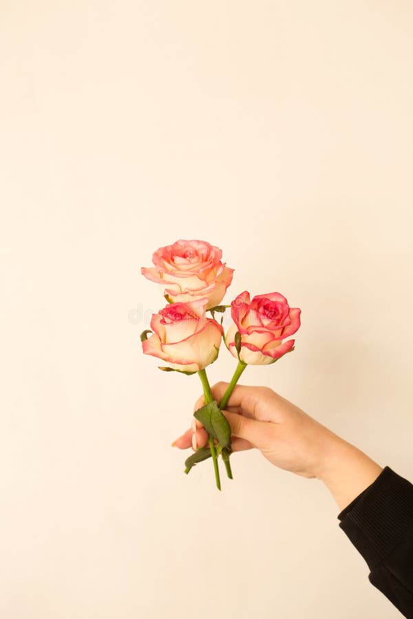 A Small Bunch of Three Roses Stock Photo - Image of decoration, mother ...