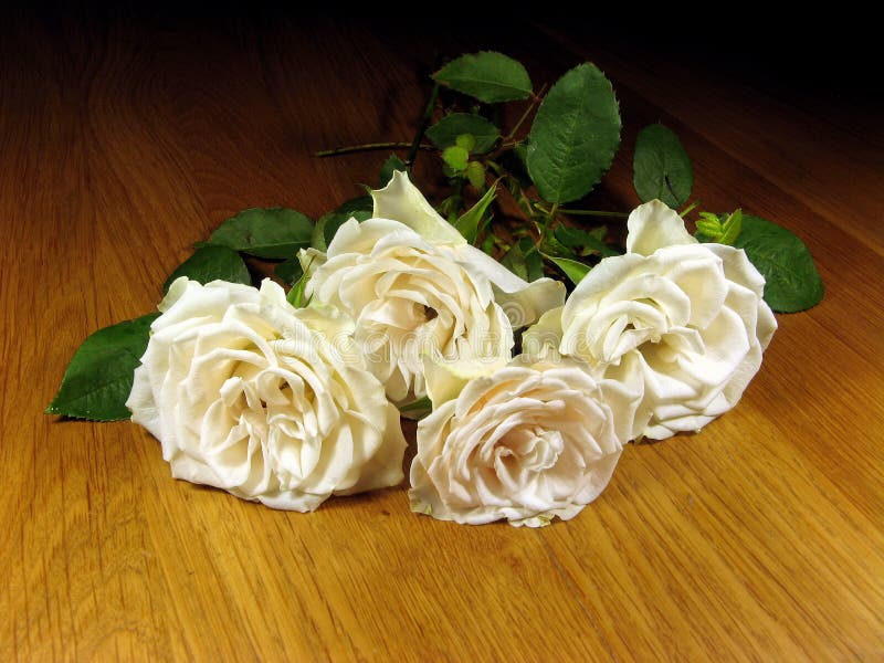 Small bunch of white roses stock image. Image of love - 1350699