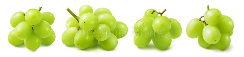 Small Green Grapes Bunch and Leaf Isolated on White Stock Image - Image ...