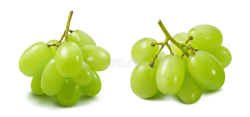 Small Green Grapes Bunch and Leaf Isolated on White Stock Image - Image ...