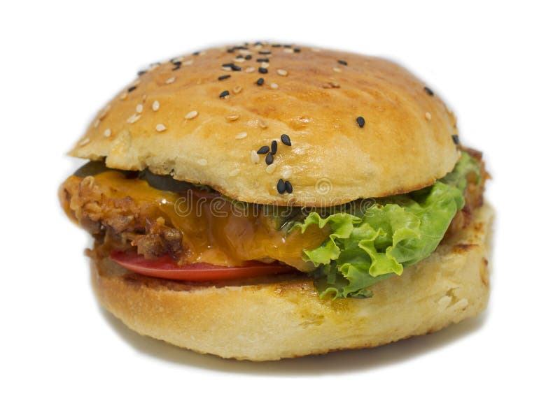 Small Burger stock photo. Image of lettuce, sauce, small - 297729932