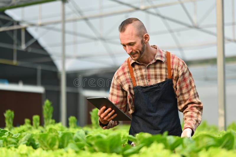 Small Business Owner, Farmer Analyzing Farming Data on Digital Tablet ...