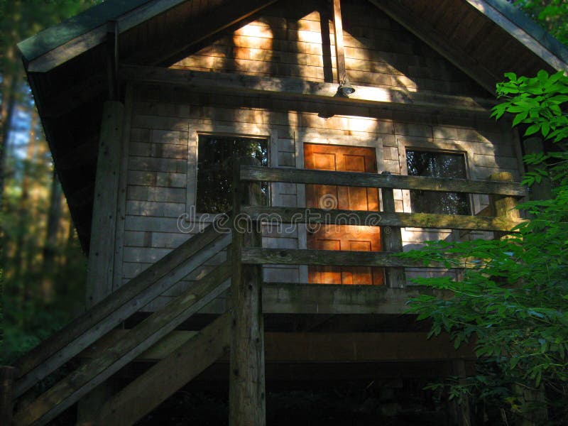 Small Cabin Picture. Image: 6557748