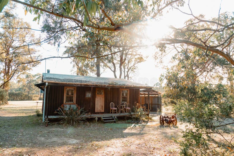 Small Cabin in the Australian Bush Bathed in Golden Afternoon Light ...