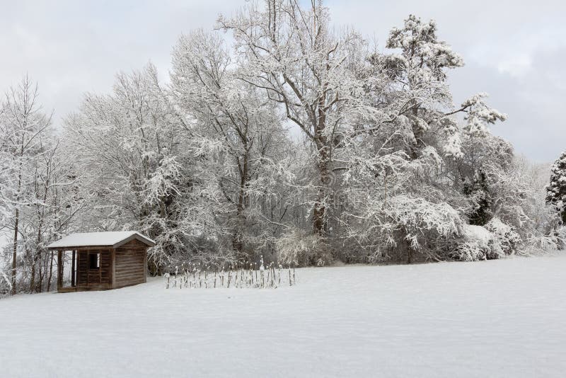 Small cabin in snow stock photo. Image of carolina, storm - 55725748