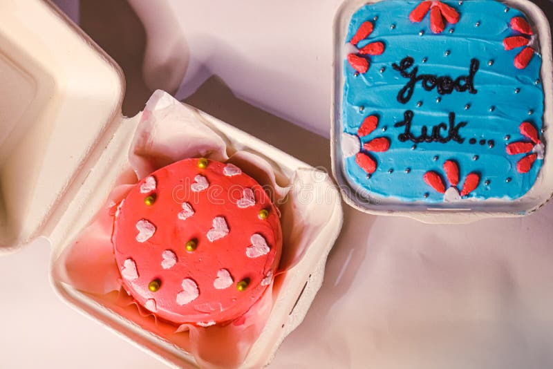 Small Cakes in White Styrofoam Boxes Stock Photo - Image of dessert ...