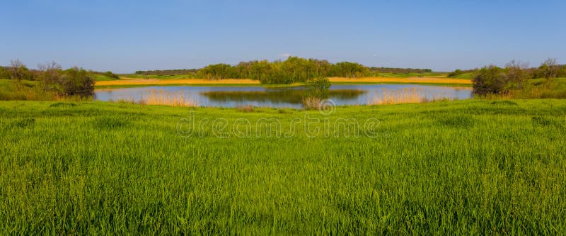 Calm Lake among Green Fields and Forest Stock Photo - Image of tree ...