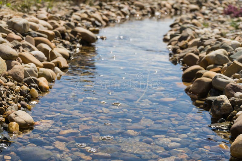 Calm Stream Stock Images - Download 25,990 Royalty Free Photos