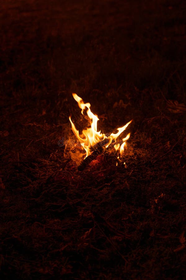 A Campfire in the Middle of the Dark Forest Stock Photo - Image of ...