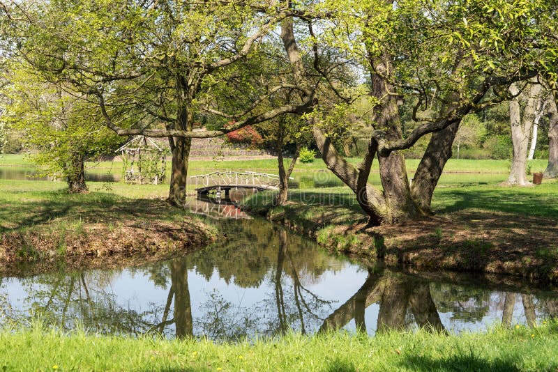 Small Canal with Running Water, Big Trees and Green Grass Stock Photo ...