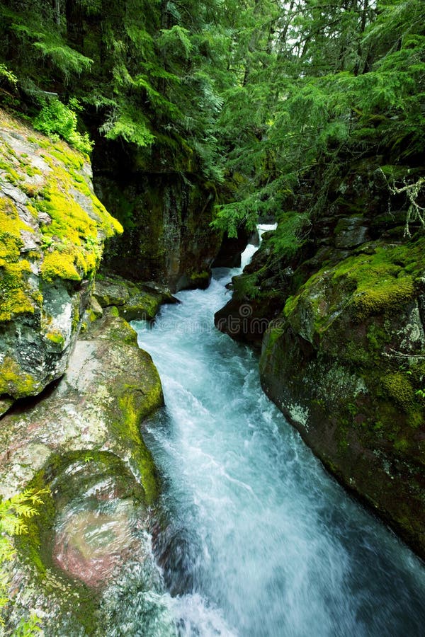 Small canyon stock photo. Image of tree, nature, creek - 54187706