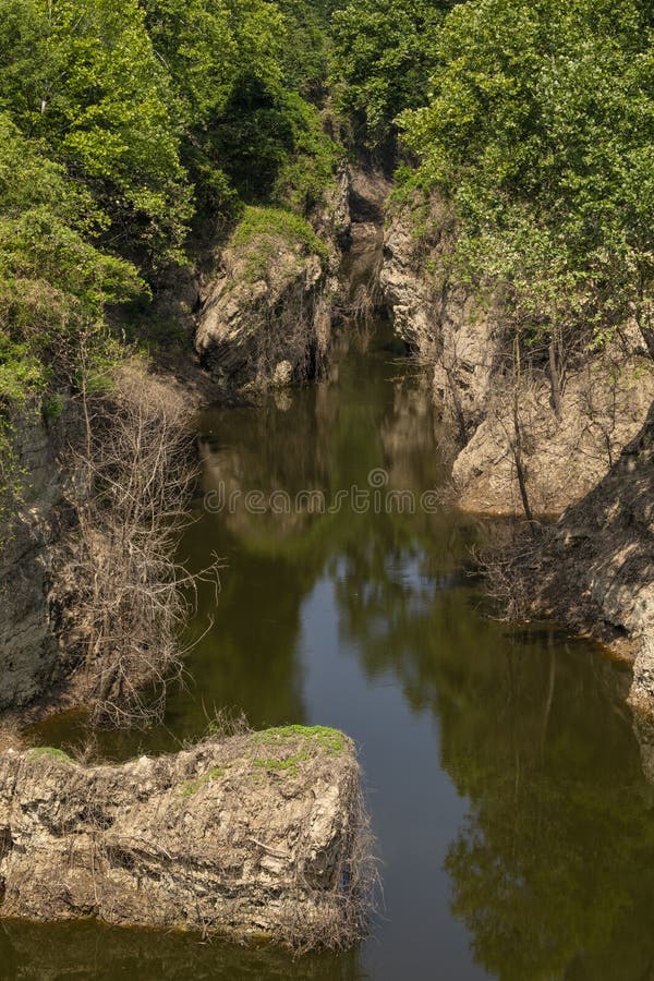 A Small Canyon in the Woods Stock Photo - Image of dark, green: 193105770