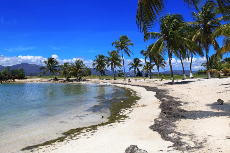 Small Caribbean beach stock photo. Image of daytime, idyllic - 34856434