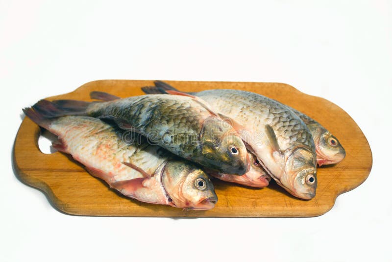 Small carp; stock image. Image of scales, gutted, freshwater - 14494809
