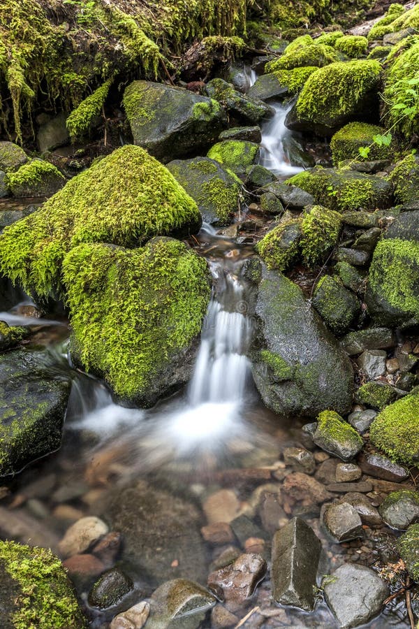 Small Cascade through Mossy Rocks. Stock Photo - Image of hike, river ...