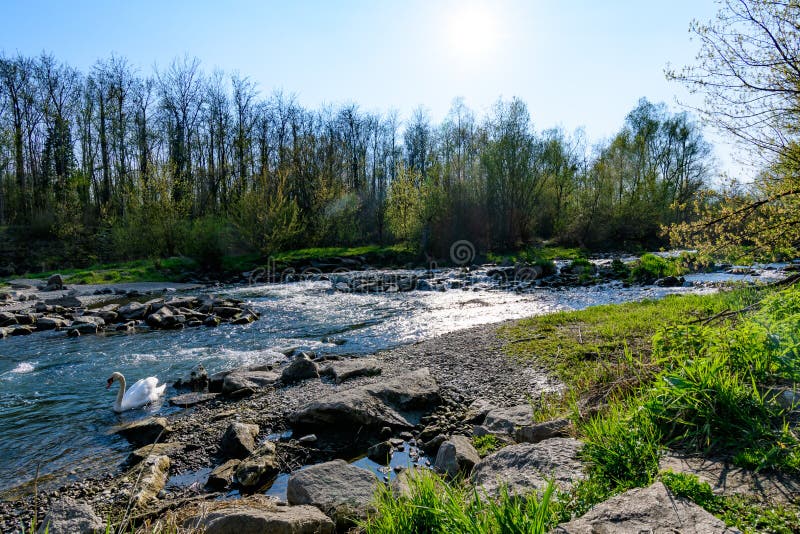 Small Cascade on the River Gusen in Austria Stock Image - Image of ...
