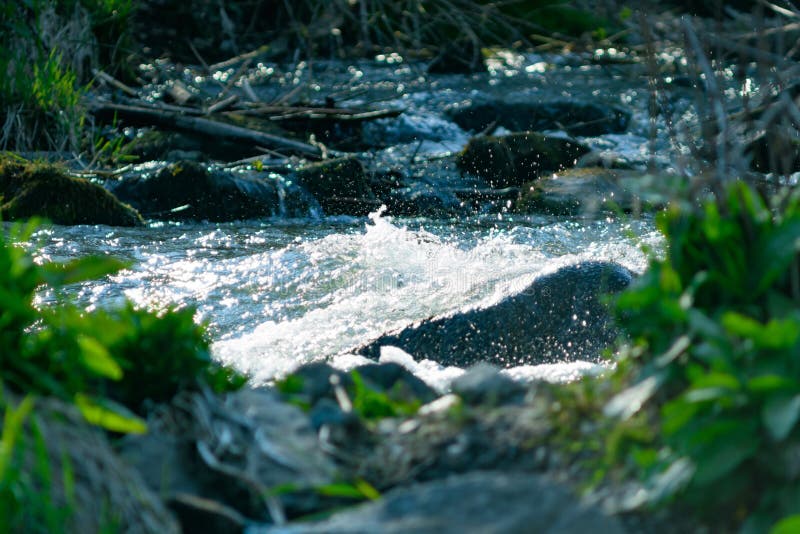 Small Cascade on the River Gusen in Austria Stock Photo - Image of ...