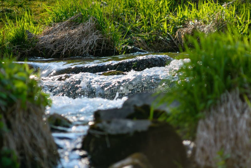 Small Cascade on the River Gusen in Austria Stock Image - Image of ...