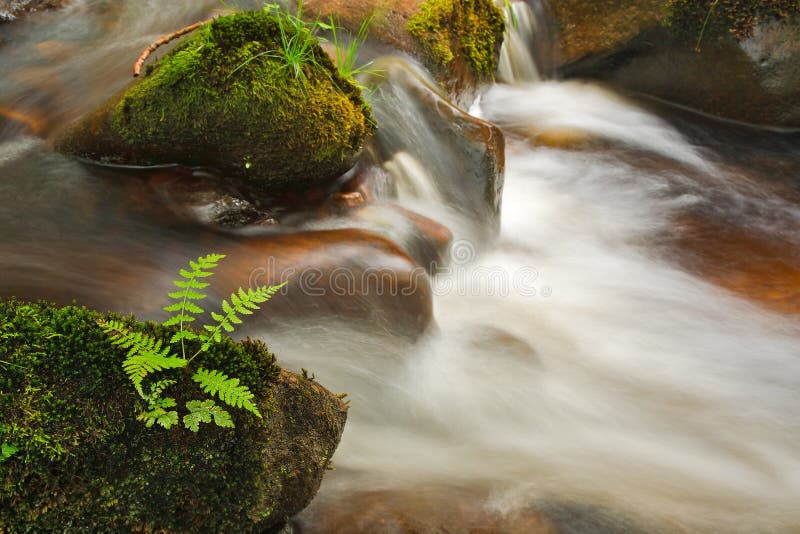 River Wharfe - Yorkshire Dales - England Stock Image - Image of rural ...