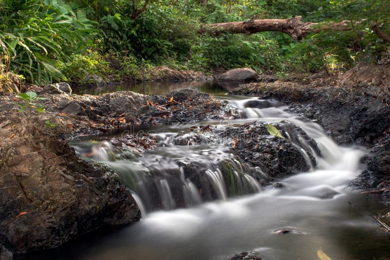 Small Cascade on a Stream in a Forest Stock Image - Image of tree ...