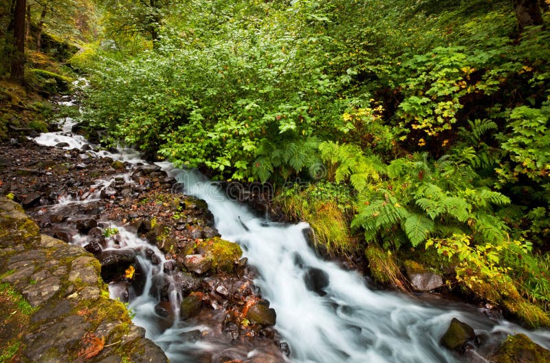 Small cascade stock image. Image of creek, cascade, ecology - 54191779