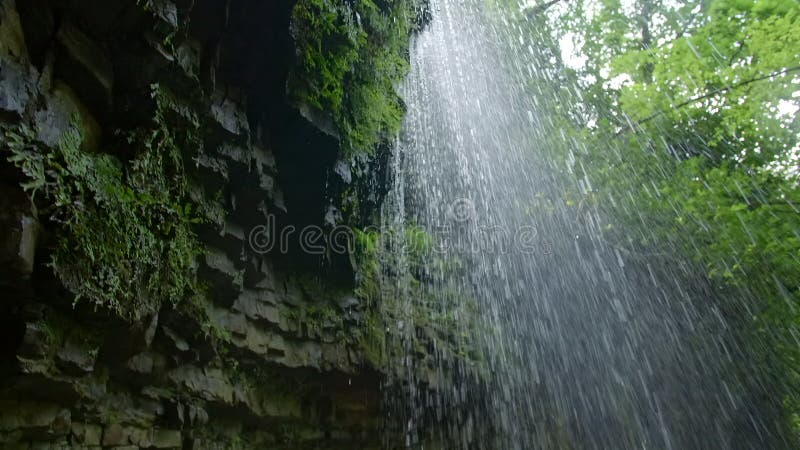 A Small Cascade and Waterfall in Lush Green Forest. Design. Natural ...