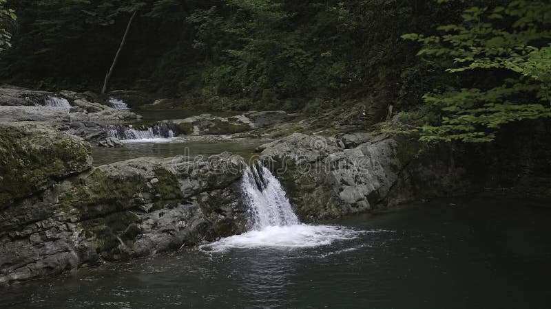 Small Cascade Waterfall Lush Green Forest Design Natural Background ...