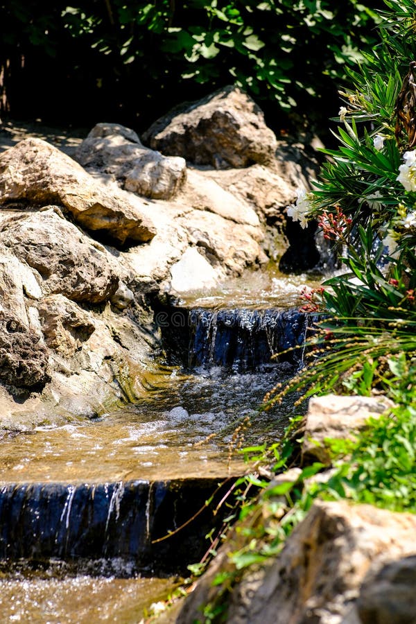 Small Cascading Waterfall Over Jagged Rocks Surrounded by Lush Greenery ...