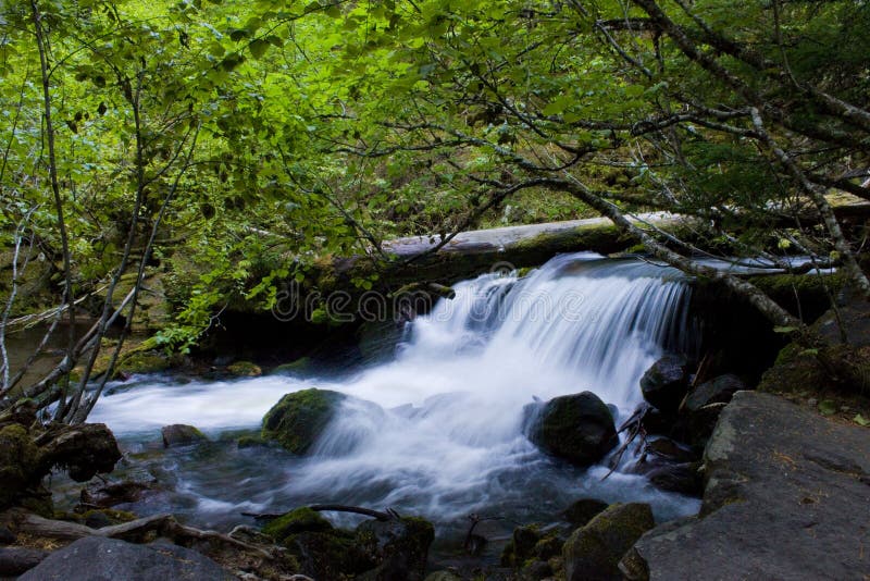 Small cascading waterfall stock photo. Image of boulders - 62157420