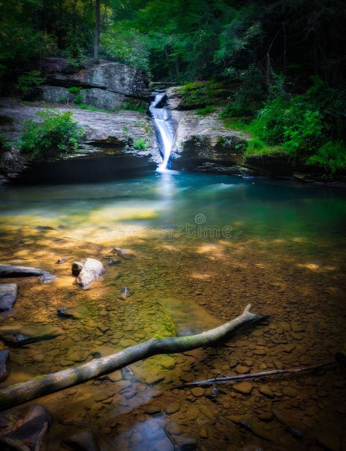 Small Cascading Waterfall Surrounded by Lush Greenery and Natural Rock ...